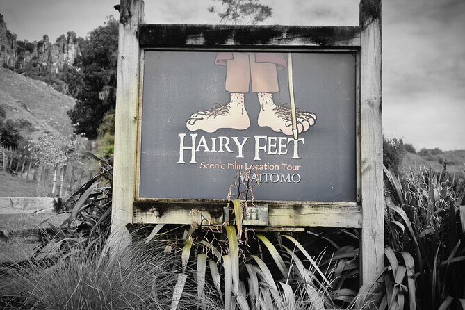 Bike Rental in Waitomo Caves - What to Expect from the Tour