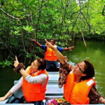 Bintan: Mangrove Discovery Boat Tour - The Sum Up