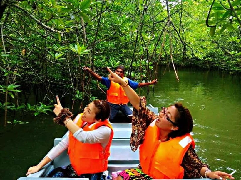 Bintan: Mangrove Discovery Boat Tour - The Sum Up