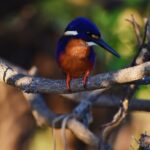 Bird Watching Kayak Tour - Who Will Get the Most From This Experience?
