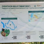 Bird Watching Tours in Samarkand - Who Should Consider This Tour?
