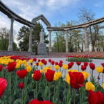 Bishkek Street Art & Kyrgyz Nomadic History (Walks & Talks) - The Sum Up: Is this Tour Worth Your Time and Money?