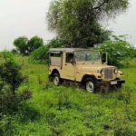 Bishnoi Village :Safari tour - What to Expect on the Safari