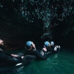 Black Abyss: Ultimate Waitomo Caving - Private Tour from Auckland - Who Should Consider This Tour?