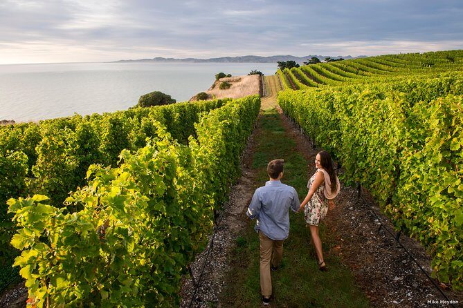 Blenheim Half day Wine Tour - What the Reviews Say