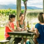 Blenheim/Renwick: Marlborough Half-Day Wine Tour with Lunch - Final Thoughts: Is This Tour Right for You?