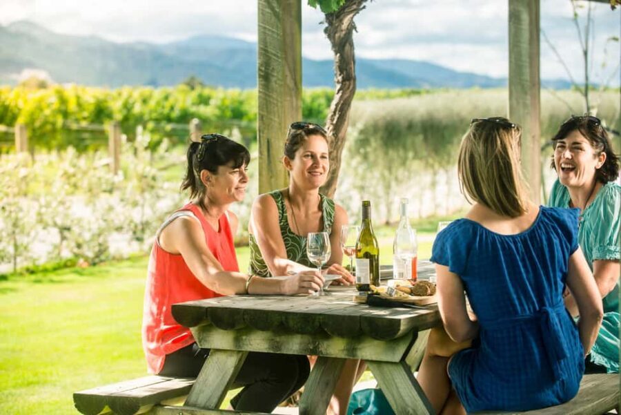 Blenheim/Renwick: Marlborough Half-Day Wine Tour with Lunch - Final Thoughts: Is This Tour Right for You?