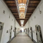 Blood & Tears: Korea Dark History Guided Walking Tour - Who should consider this tour?