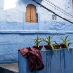 Blue City Heritage Walking Tour With Pick Up & Drop Off - Why This Tour Is a Great Choice