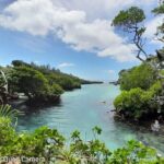 Blue Lagoon Express Bus - Authentic Experiences and Feedback
