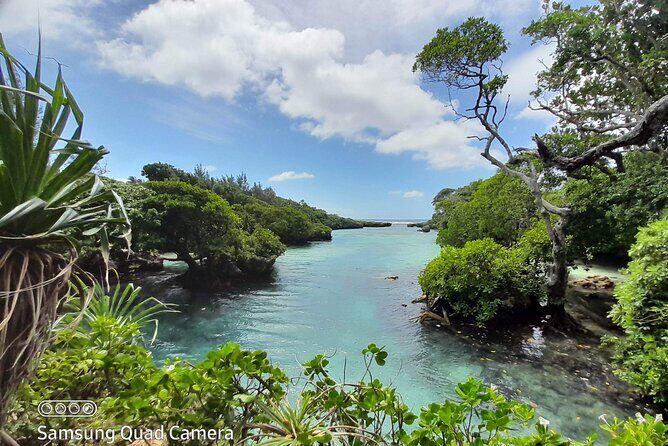 Blue Lagoon Express Bus - Authentic Experiences and Feedback
