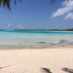 Blue Lagoon - PRIVATE ISLAND Pink sand beach and wildlife reserve - The Itinerary: What You Can Expect