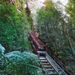 Blue Mountains Adventure: Scenic World, Zoo & Koala Photo - What the Reviews Say