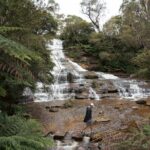 Blue Mountains Adventure w Scenic World, Zoo, Koala Photo & Ferry - What This Tour Means for You