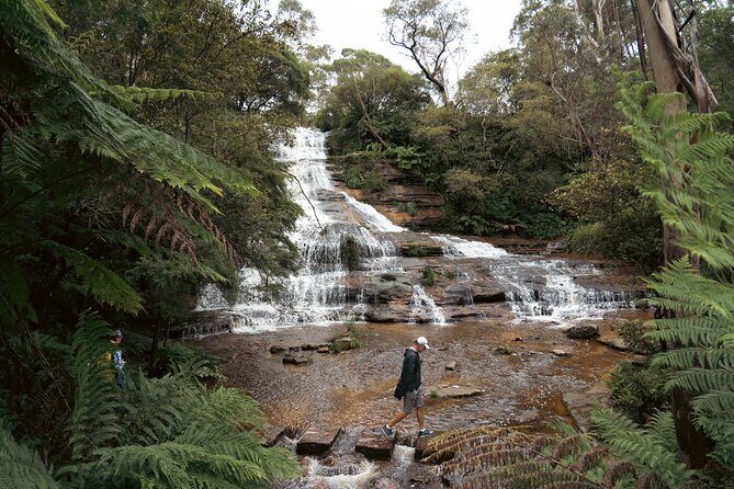 Blue Mountains Adventure w Scenic World, Zoo, Koala Photo & Ferry - What This Tour Means for You