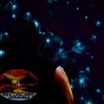 Blue Mountains Day, Sunset Tour & Glow Worms Night Adventure - Authentic Reviews: What Real Travelers Say