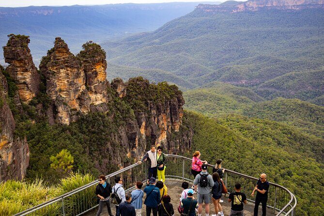 Blue Mountains Day Tour: Zoo, Scenic World & Three Sisters - Stop 1: Sydney Zoo – A Wildlife Encounter
