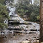 Blue Mountains Day Tours W Scenic World and Lunch - Who Will Love This Tour?