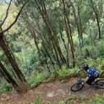 Blue Mountains Electric Bike Tour with Transport - Who Will Love This Tour?