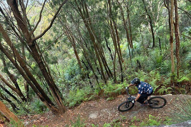 Blue Mountains Electric Bike Tour with Transport - Who Will Love This Tour?