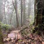 Blue Mountains Experience: Explore & Discover Majestic Landscapes - Transportation and Timing: How It Works