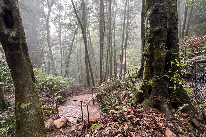 Blue Mountains Experience: Explore & Discover Majestic Landscapes - Transportation and Timing: How It Works
