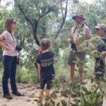 Blue Mountains: Inside a World Heritage National Park - How the Experience Holds Up