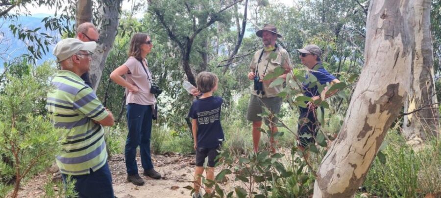 Blue Mountains: Inside a World Heritage National Park - How the Experience Holds Up