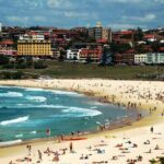 Blue Mountains | Koalas, Kangaroos & Bondi Beach Private Tour - Who Will Enjoy This Tour?