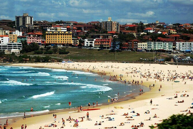 Blue Mountains | Koalas, Kangaroos & Bondi Beach Private Tour - Who Will Enjoy This Tour?