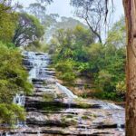 Blue Mountains Private Sightseeing Day Tours from Sydney - Detailed Breakdown of the Itinerary