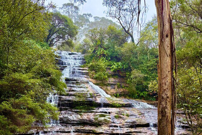 Blue Mountains Private Sightseeing Day Tours from Sydney - Detailed Breakdown of the Itinerary