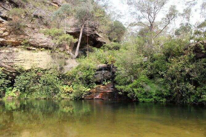 Blue Mountains Private Tour - Final Thoughts: Is It Worth It?
