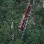Blue Mountains Small-Group Tour from Sydney with Scenic World,Sydney Zoo & Ferry - Who Is This Tour Best For?