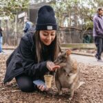 Blue Mountains Tour: Scenic World, Lunch, Zoo and Cruise - Who Would Love This Tour?