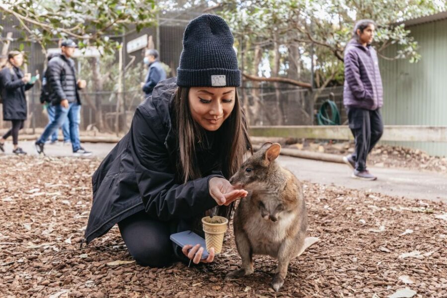 Blue Mountains Tour: Scenic World, Lunch, Zoo and Cruise - Who Would Love This Tour?