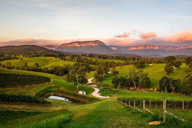 Blue Mountains Winery Tasting Private Tour - Pick up & drop off - Wilderness and Wildlife: Megalong Valley