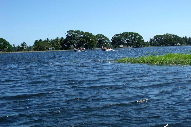 Boat Tour in Tissamaharama Lake - Final Thoughts
