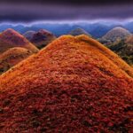 Bohol: Budgeted Country Eco-Cultural Tour - Who Should Consider This Tour?