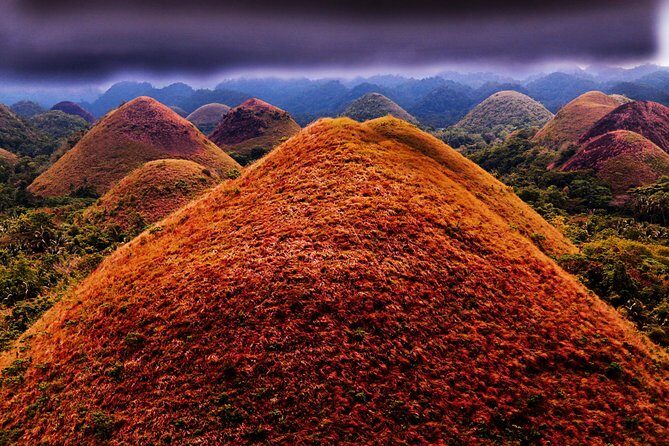 Bohol: Budgeted Country Eco-Cultural Tour - Who Should Consider This Tour?