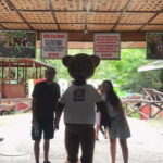 Bohol: Chocolate Hills, Loboc River, and Tarsier Tour - Final Thoughts: Is this tour worth it?