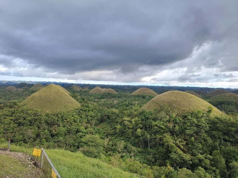 BOHOL: Chocolate Hills, Tarsiers and Loboc River Day Tour - Why This Tour Works for Travelers