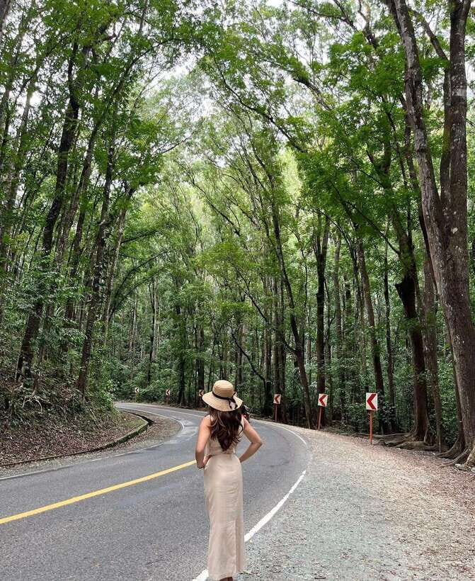 Bohol: Guided Chocolate Hills & Tarsiers Tour - The Authentic Experience and Why It Matters