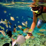 Bohol Island Hopping Tour - Why This Tour Offers Good Value