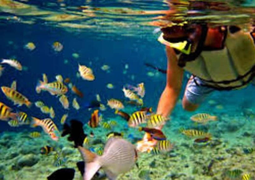 Bohol Island Hopping Tour - Why This Tour Offers Good Value