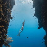 Bohol: Private Sardine Snorkel & Tropical Fish Tour - Why This Tour Works Well for Travelers