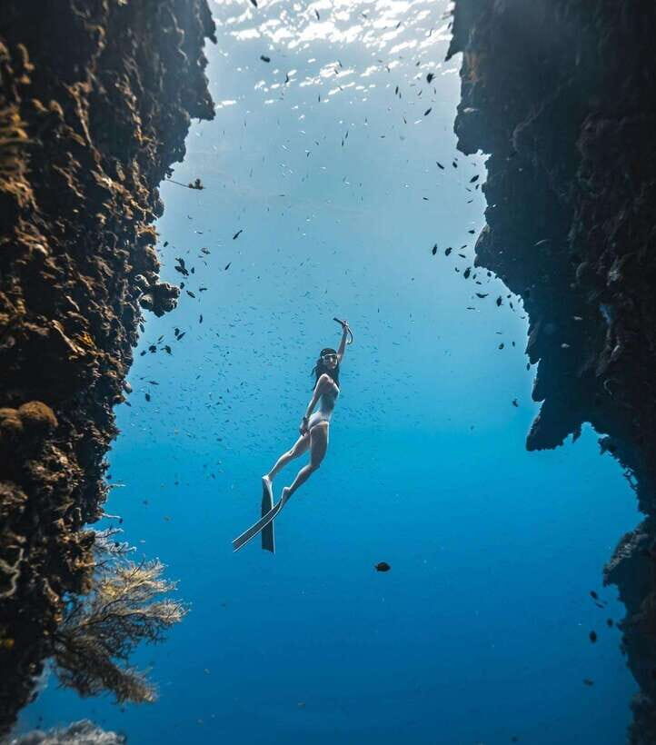 Bohol: Private Sardine Snorkel & Tropical Fish Tour - Why This Tour Works Well for Travelers