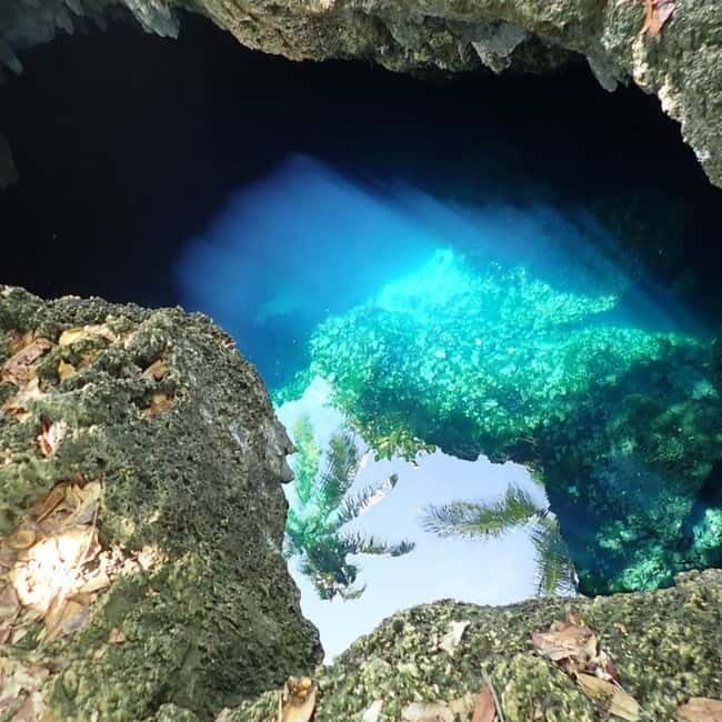 Bohol Waterfalls Tour with Lunch - Who is This Tour Best For?