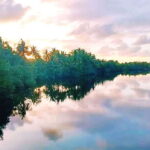 Bongawan Wetland: Proboscis Monkey and Fireflies Shared Tour - How the Experience Adds Value