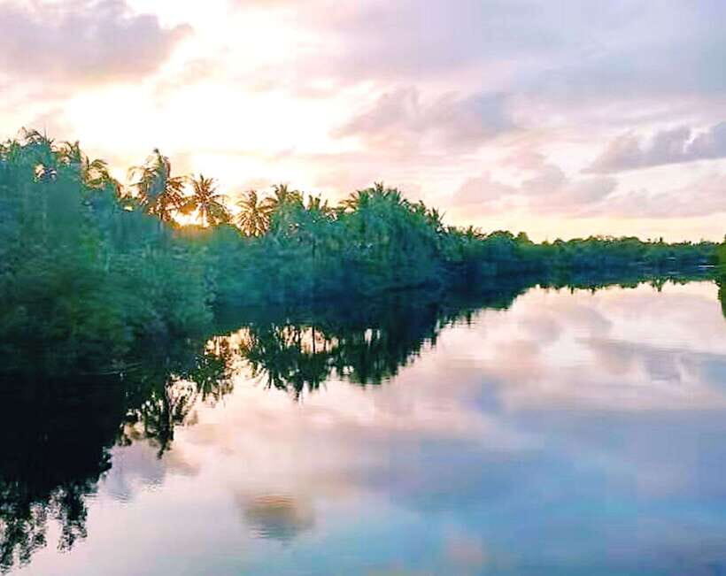 Bongawan Wetland: Proboscis Monkey and Fireflies Shared Tour - How the Experience Adds Value